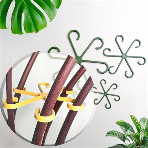 Plant Stem Supports Durable And Versatile Plant Support For Stems And