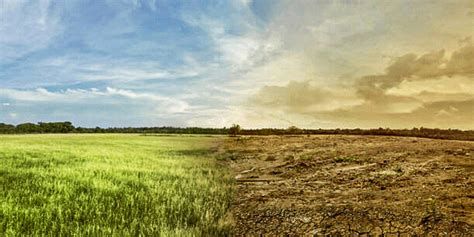 Demand Driven Extension Service Pda