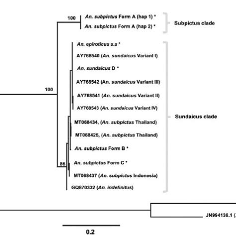 Maximum Likelihood Ml Rooted Tree Of Different Molecular Forms Of An