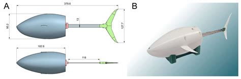 Biomimetic Attachment Systems At Alicia Barrenger Blog