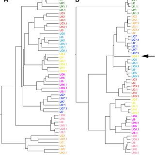 Upgma Clustering Based On Weighted A And Unweighted Unifrac B