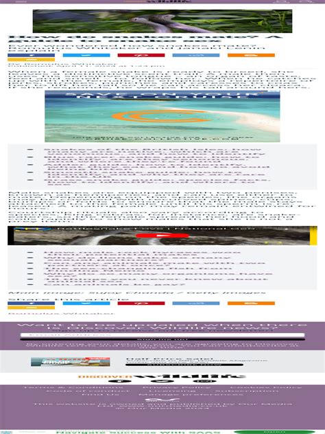 How Do Snakes Mate A Guide To Snake Sex Discover Wildlife Pdf Snake Subscription How Do Snakes Mate A Guide To Snake Sex Discover Wildlife Pdf Snake Subscription