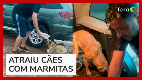 Vereador Viraliza Ao Colocar Cachorros De Rua Para Comer Dentro Do