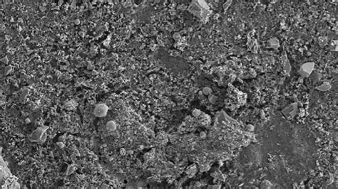 科学家首次在人类阴茎中发现微塑料，样本来自患勃起障碍男性 腾讯新闻