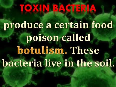 Types Of Pathogen Mapeh 8 Health Ppt Infectious Diseases