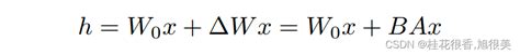 大模型高效调参—peft库（ parameter efficient fine tuning） csdn博客