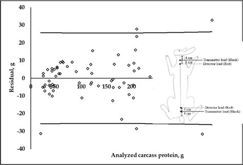 Bioelectrical Impedance Analysis Bia Used To Assess Carcass