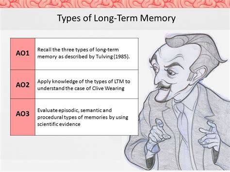 Long Term Memory Types