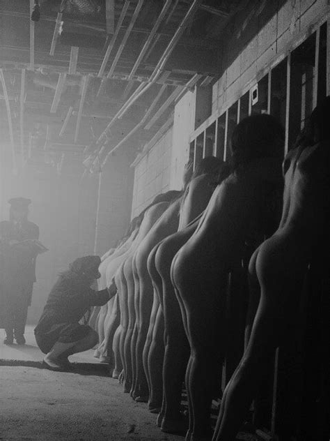 Beauty Slept In Sodom Ssjstalin