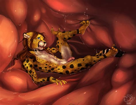 Rule 34 Anthro Cheetah Digestion Feline Fur Furry Keedot Kibacheetah
