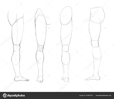 Dibujo Una Pierna Humana Con Simple L Piz Construyendo Una Pierna