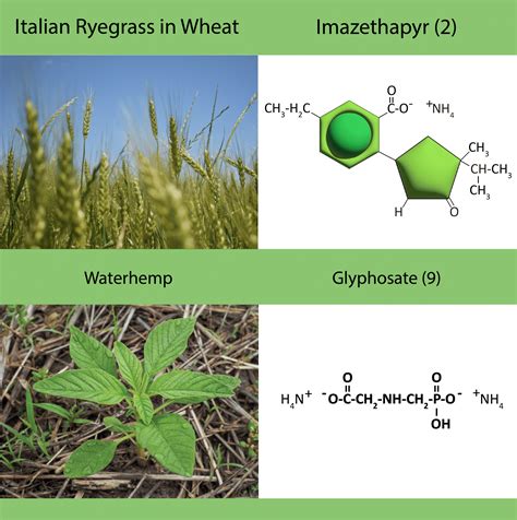Herbicides List Buy Force Up Herbicide 1liter Online In Nigeria At