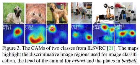 【cam】learning Deep Features For Discriminative Localization Csdn博客