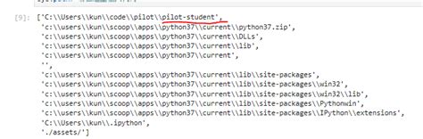 nameerror name null is not defined · issue 773 · neolee pilot · github