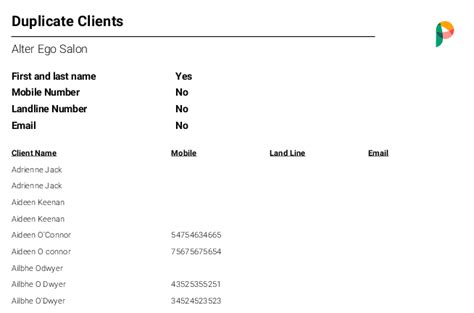 Duplicate Clients Report Overview Phorest