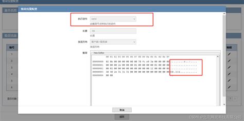 网测科技udp载荷攻击测试案例udp荷载 Csdn博客