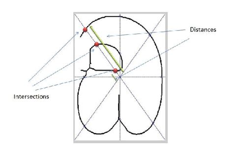 Intersection Measurement Download Scientific Diagram