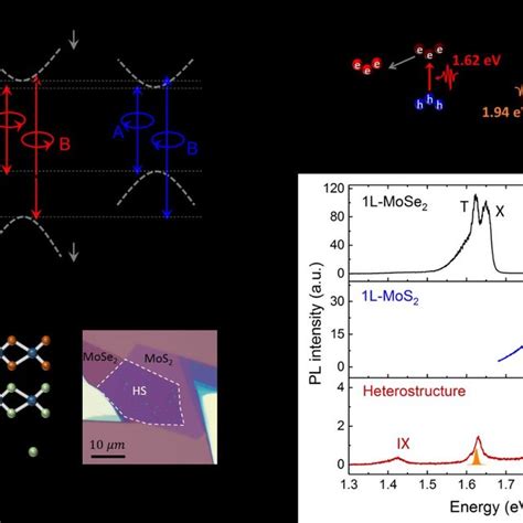 Tmd Spin Texture And Heterostructure Characterization A Spin Texture