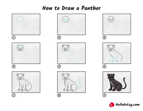 Panther Drawing Step Step