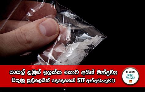 පාසල් ළමුන් ඉලක්ක කොට අයිස් මත්ද්‍රව්‍ය විකුණු පුද්ගලයින් දෙදෙනෙක් Stf