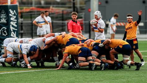 Vikes Dominant In Quarter Final Win Over Gaels Cumrc