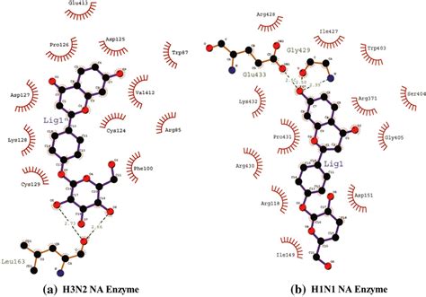 The Ligplot Showing Intermolecular Interactions Of Liquiritin In The Download Scientific