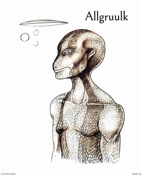 The Allgruulk Builders From Gamma Sculptoris