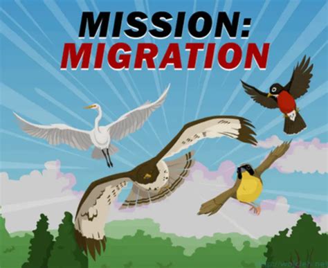 How To Migrate Virtual Machine With Snapshots Between Datastores