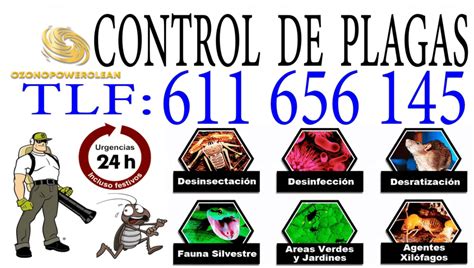 Fumigaciones Profesionales Para El Control De Plagas ¿cómo Elegir La