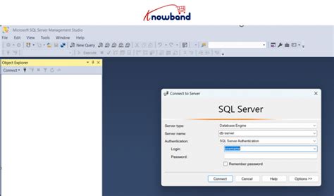 Como Reparar Um Banco De Dados Suspeito Em Mssql Knowband Blog