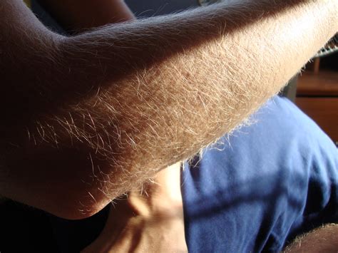 A Guide To Hairy Arms Im Learning To Love My Hairy Arms R