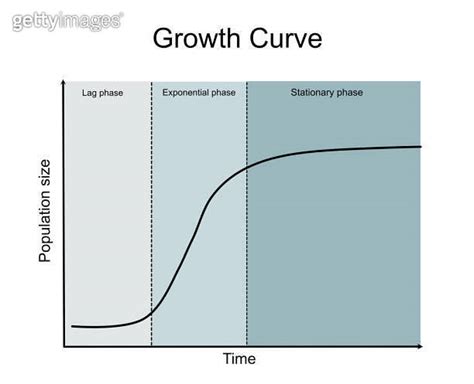 The Analytical Result Of Growth Rate Of Bacterial Or Cells That Shows The Correlation Between