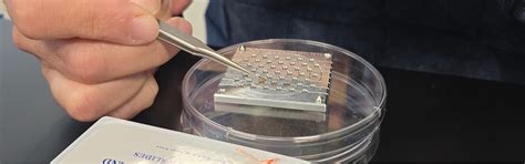 Graphene Grids Fabrication Workshops