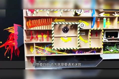 小仓鼠太空冒险遇到外星怪入侵能战胜它吗 太空冒险 入侵 仓鼠