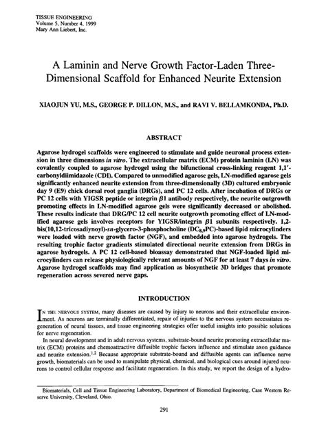 Pdf A Laminin And Nerve Growth Factor Laden Three Dimensional