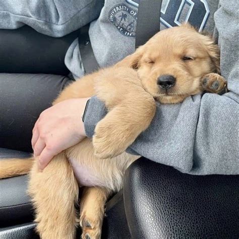 Tiny Angel On Tumblr