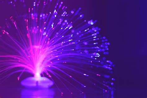 ライト、 ナイト、 ダーク、 パープル、 美しい、 ぼかし、 クローズアップ、 色、 ダーク、 フォーカス、 輝く、 グロー