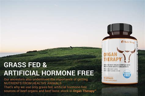 Saltwrap Organ Therapy Grass Fed Beef Organ Meat Complex Supplement