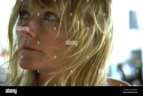 The Brown Bunny Cheryl Tiegs 2003 C Wellspringcourtesy Everett