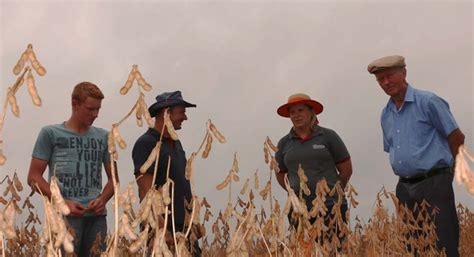 Taxas X Pequeno Produtor Agronovas