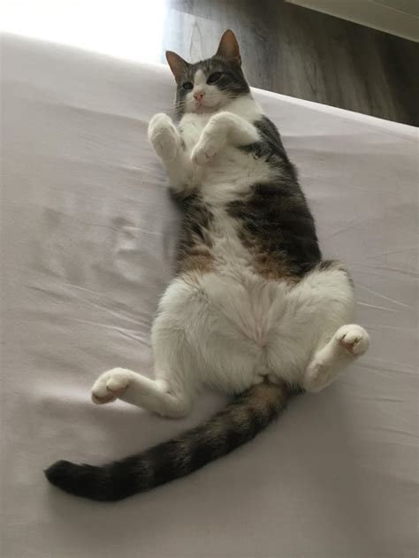 Curled Feetsies R Curledfeetsies