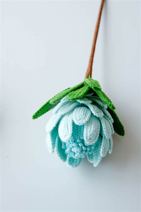 Pdf Pattern Crochet Princess Protea Hookok