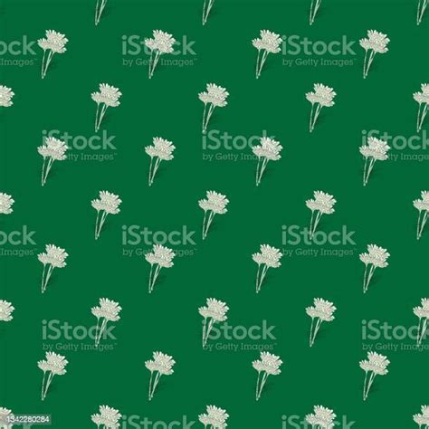 녹색 배경에 매끄러운 패턴 카모마일 아름다운 장식 여름 꽃 0명에 대한 스톡 벡터 아트 및 기타 이미지 0명 꽃 나무 꽃 식물 Istock