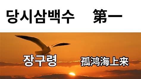 당시삼백수 그 첫 번째 이야기 唐诗三百首 第一首 感遇十二首 其四 YouTube