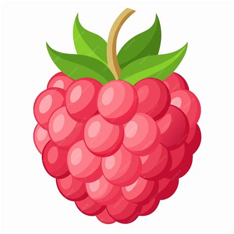 Raspberry Fruit Color Clip Art Vector Design Premium Ai Generated Vector
