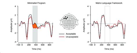 ERPs Elicited By Nouns Preceded By Adjectives Left In The MP And