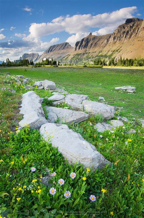 Logan Pass Glacier National Park Alan Majchrowicz Photography