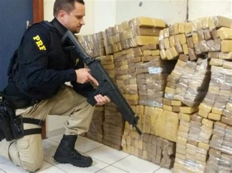 Mundo Positivo PM Apreende Mais De 500 Quilos De Maconha No Complexo