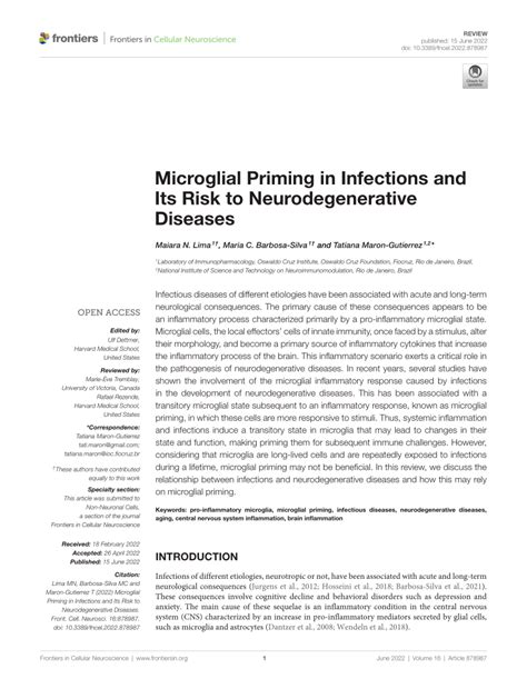 Pdf Microglial Priming In Infections And Its Risk To