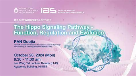 Ias Distinguished Lecture The Hippo Signaling Pathway Function
